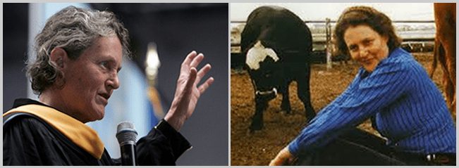 Autism - Educational Assessments